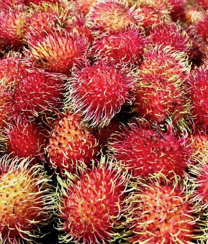 Rambutan Martini Recipe | Cooking On The Weekends