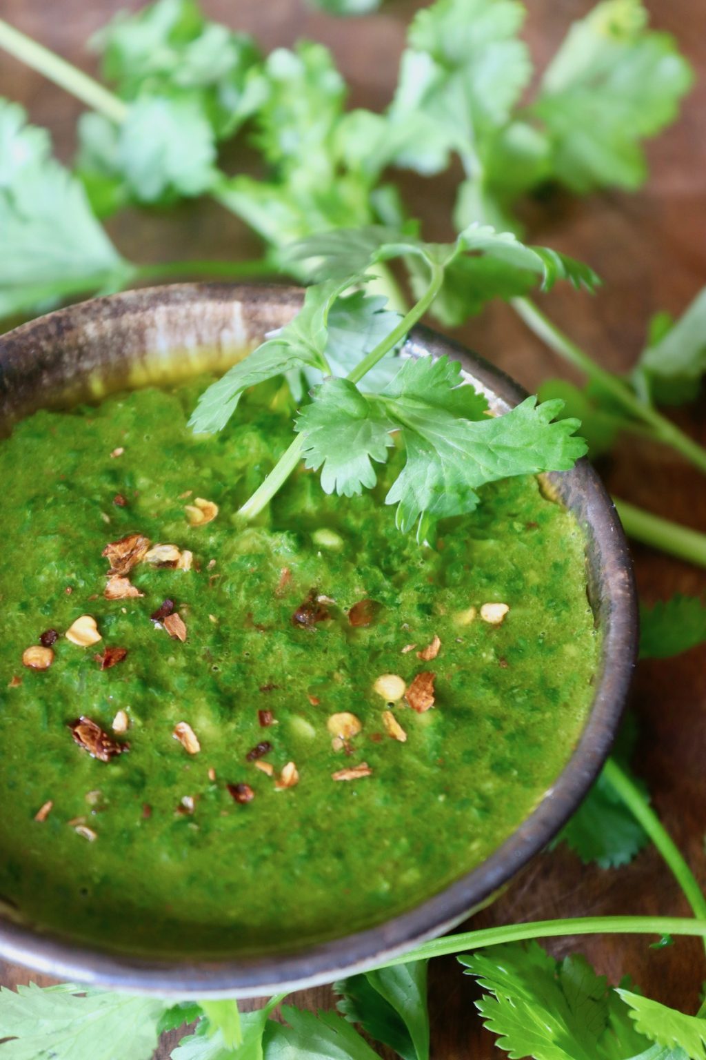 Cilantro Chimichurri Sauce Recipe | Cooking On The Weekends