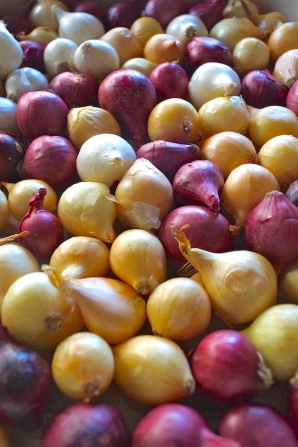 How to Peel Pearl Onions | Cooking On The Weekends