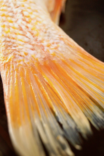 Rockfish Recipe (Baked with Lemon) | Cooking On The Weekends