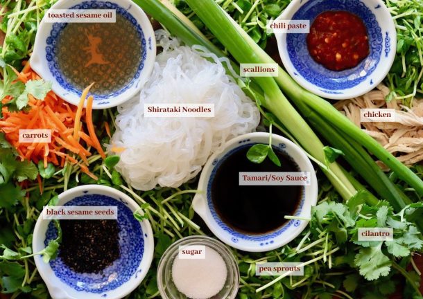 Shirataki Noodles Recipe with Chicken | Cooking On The Weekends